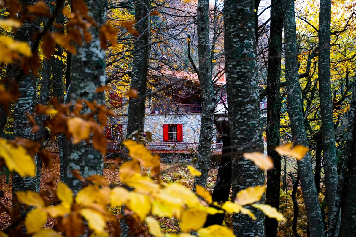 Short escape - Day trip to Chortiatis Mountain - ENTOPIA PROJECT ...